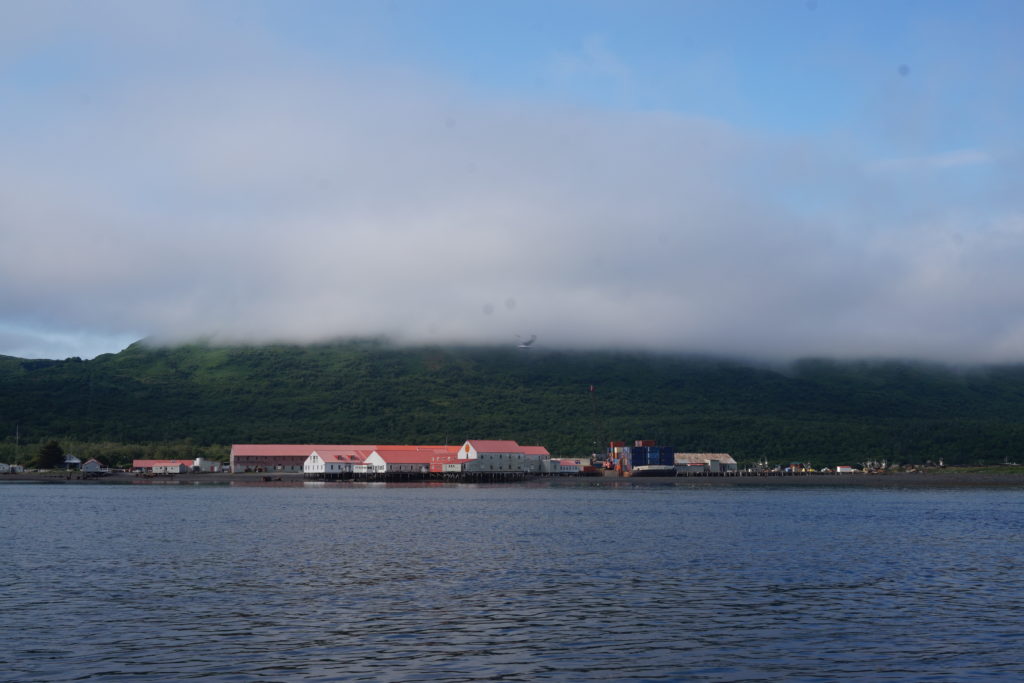 Alaska Photo Bomb – A Year and a Day